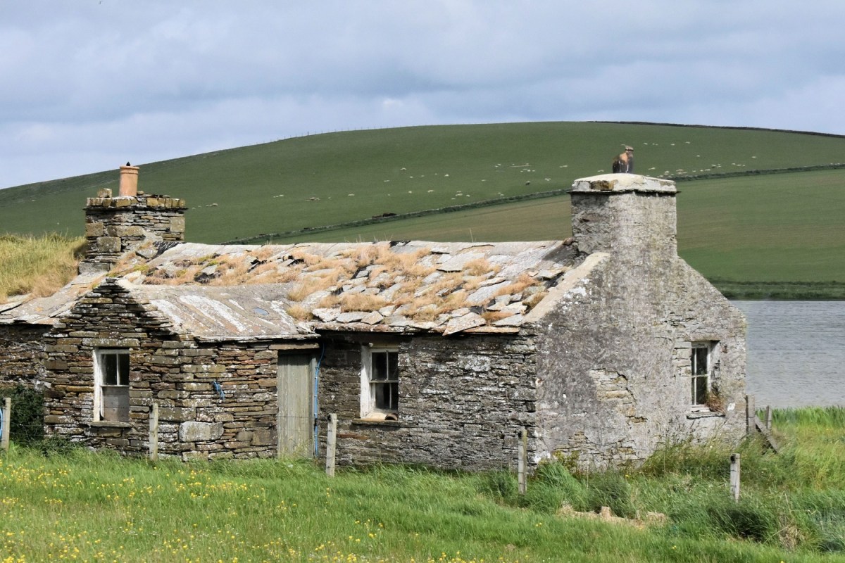 The Finished House | Tarnmoor