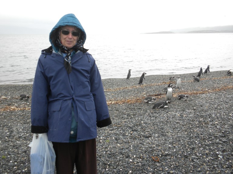The Beagle Channel | Tarnmoor
