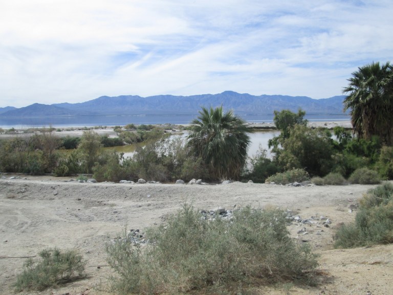 The Salton Civilization | Tarnmoor